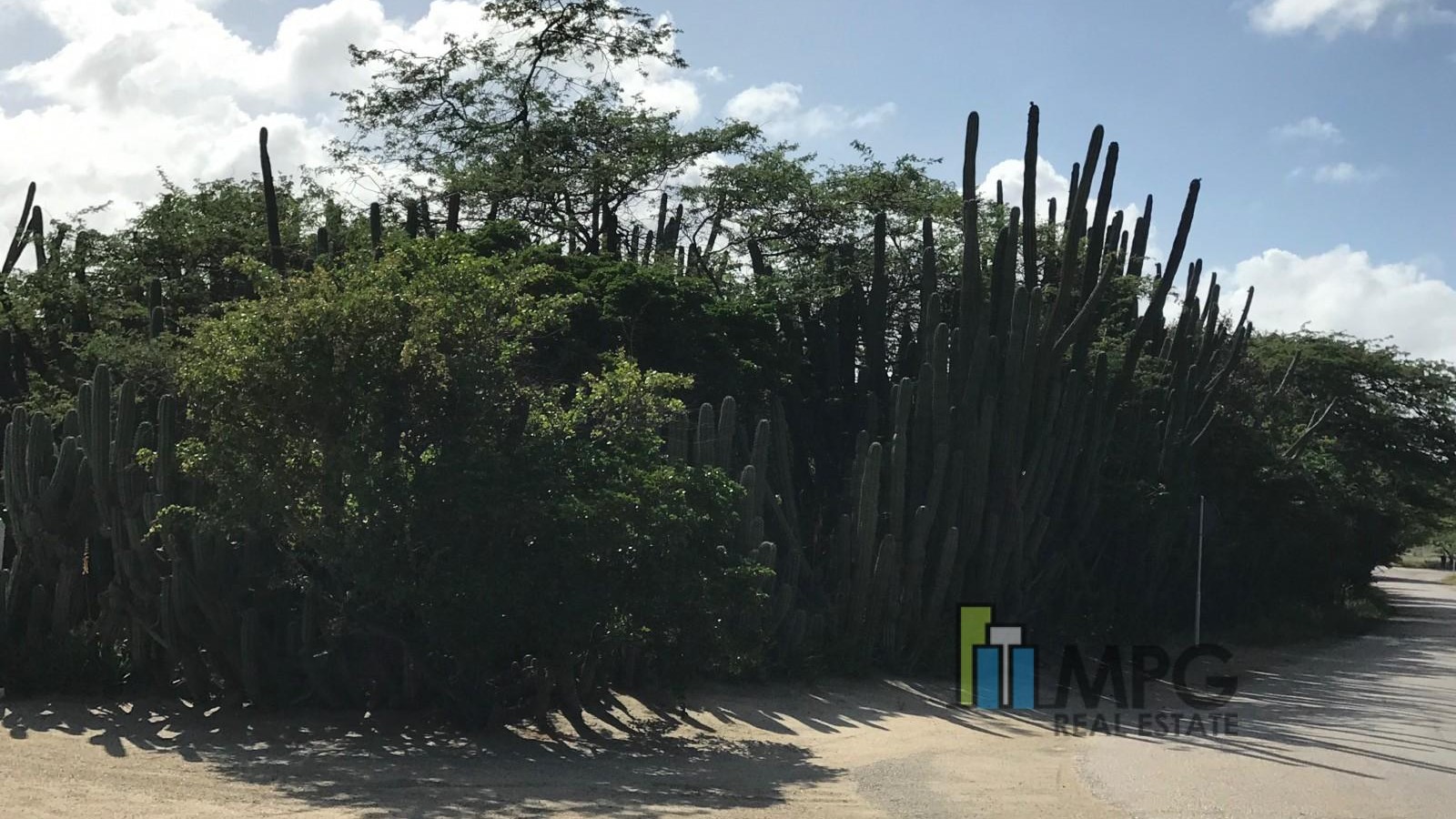 MPG Aruba - [Mahuma]