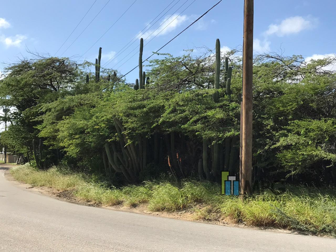 MPG Aruba - [Mahuma]