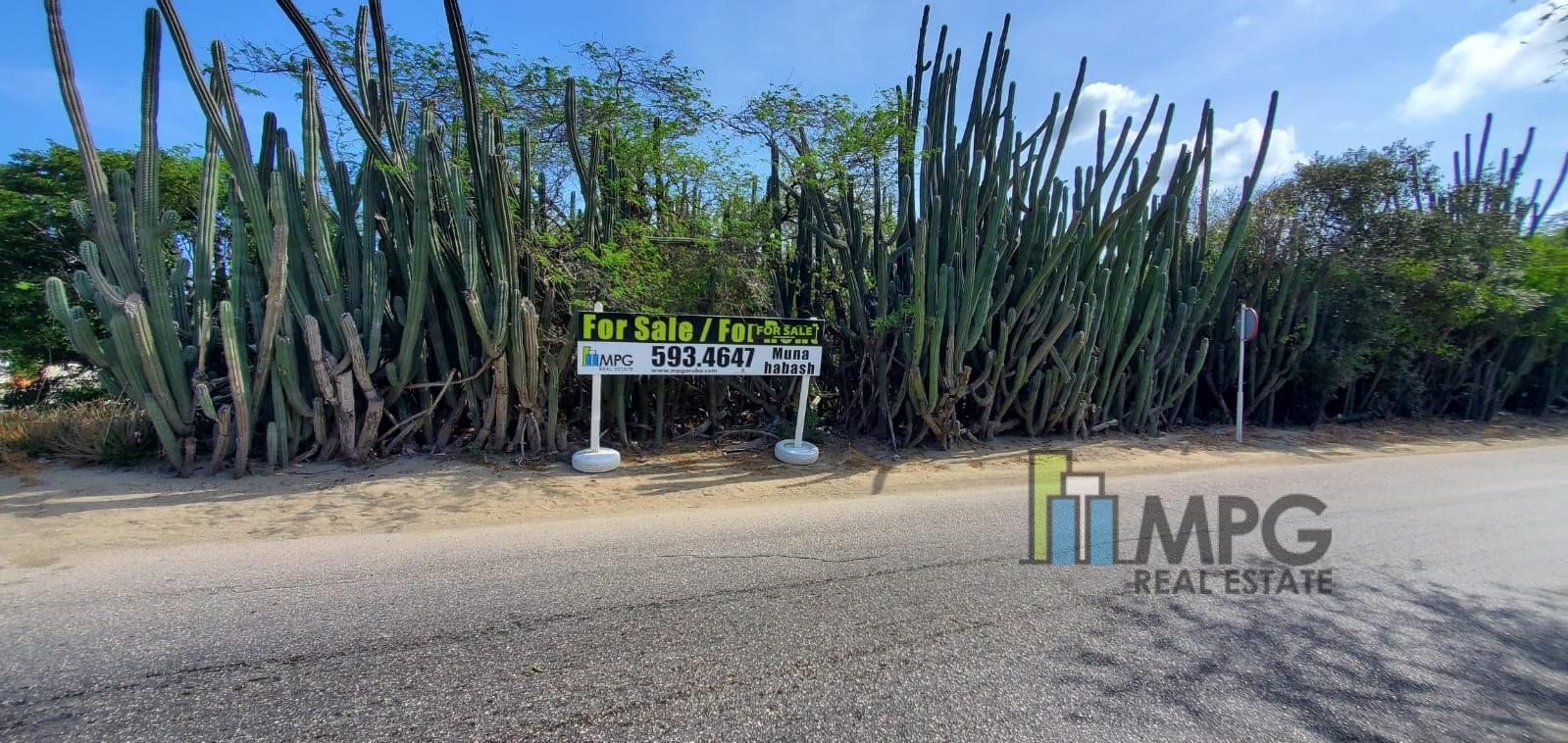 MPG Aruba - [Mahuma]